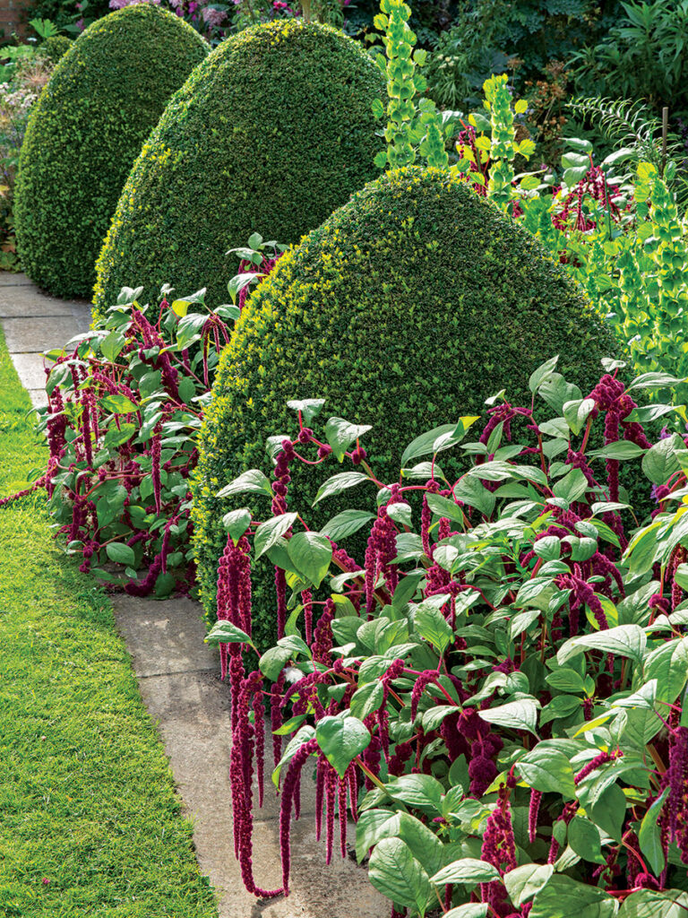 Adding Annuals to Your Garden: Six Inventive Ideas - Fine Gardening