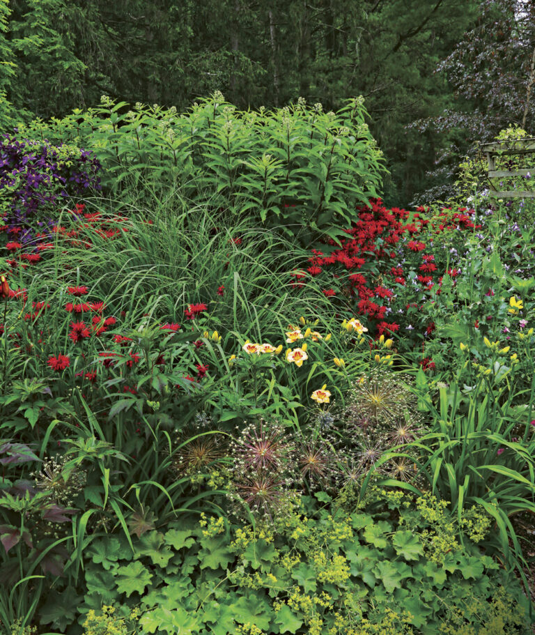 Designing a Hardy Garden - Fine Gardening