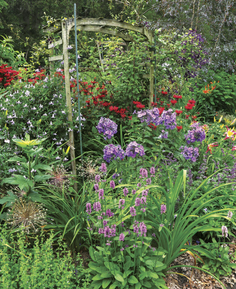 Designing a Hardy Garden - Fine Gardening