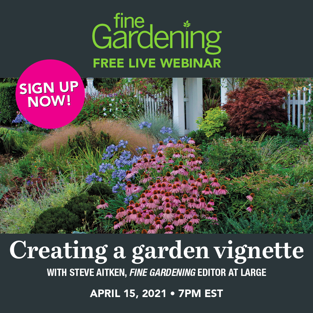 Creating a Garden Vignette (Webinar) - Fine Gardening