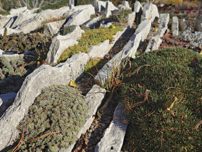 How to Build a Crevice Garden - Fine Gardening