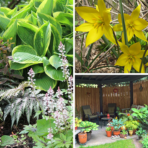 Favorite Mid- to Late-Spring Gardens from Garden Photo of the Day ...