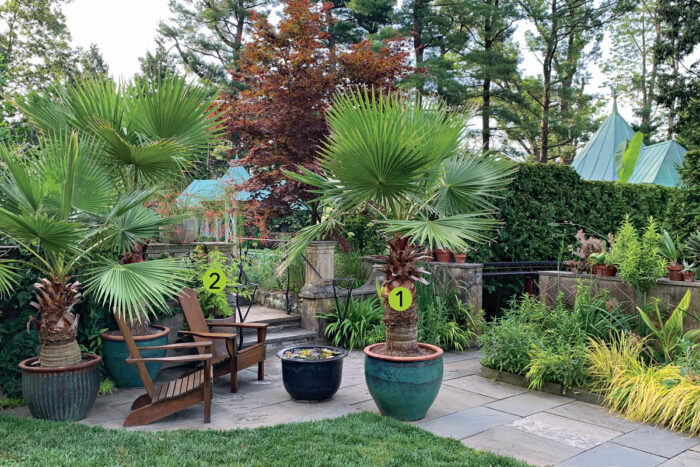 8 Ways to Create Crowd-Pleasing Containers - Fine Gardening