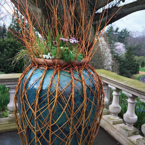 8 Ways to Create Crowd-Pleasing Containers - Fine Gardening