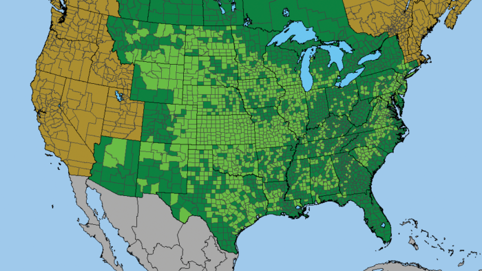 Grow Native Milkweeds to Bring Pollinators to Your Garden - Fine Gardening