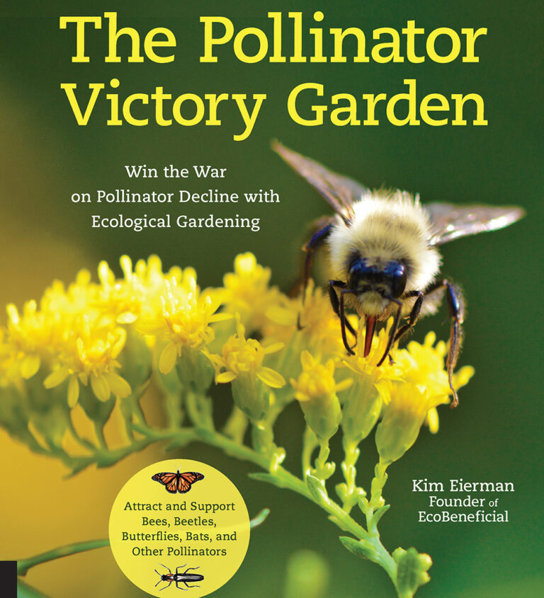 Supporting Native Bees in the Mid-Atlantic - Fine Gardening