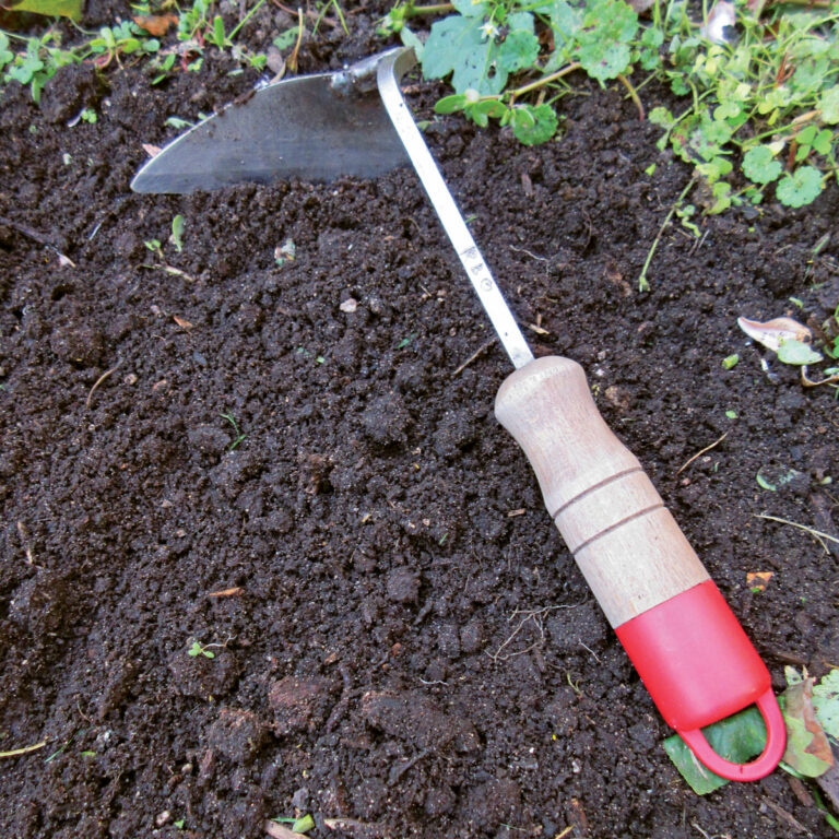 Garden Tools for Fall from Field Notebooks to Leaf Cleanup - Fine Gardening