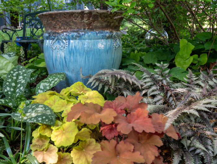 Kevin's Garden Vignettes - Fine Gardening