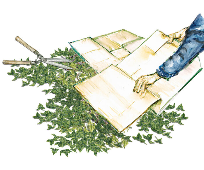 How to Get Rid of Invasive Plants - Fine Gardening