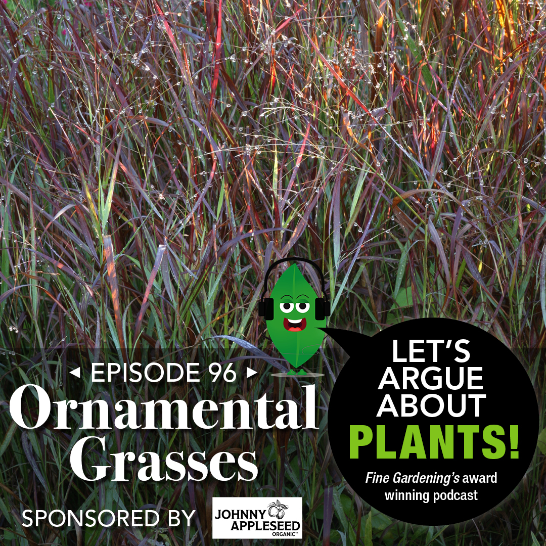 Episode 96: Favorite Ornamental Grasses - Fine Gardening