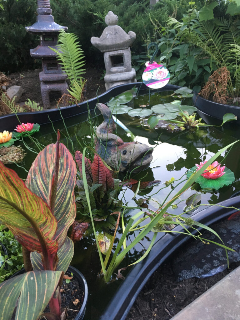 Krishna's New Pond - Fine Gardening