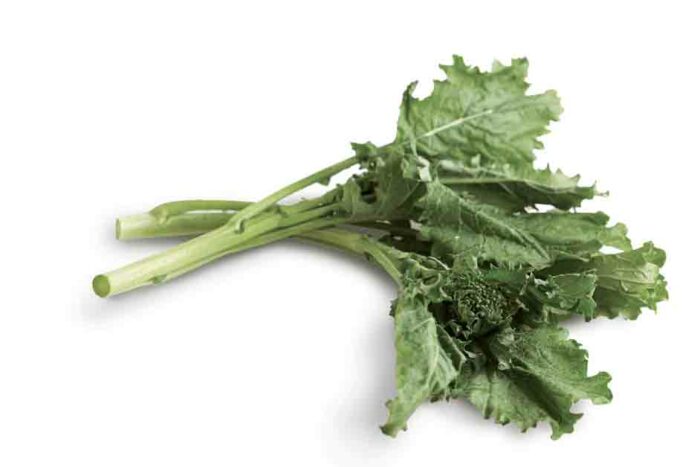 Grow Delicious Broccoli Rabe From Seed - Fine Gardening