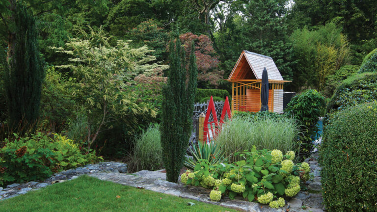 Plants That Provide Structure in the Garden - Fine Gardening