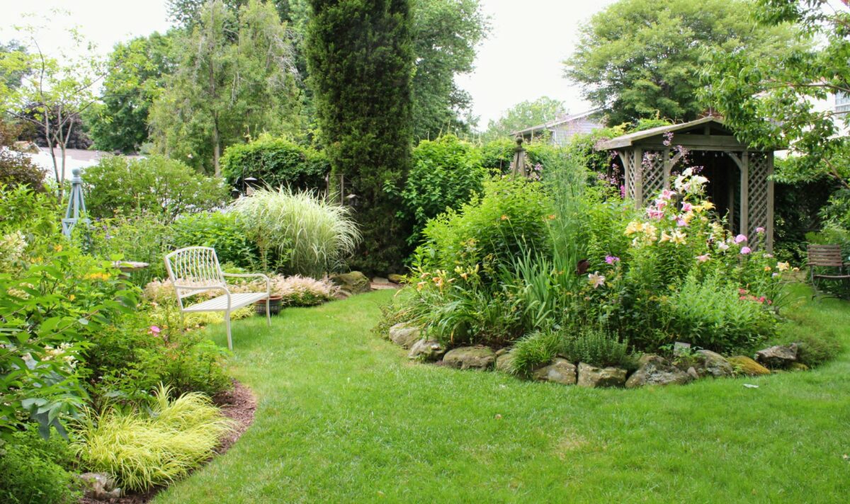 Lily Time in Luana’s Garden - Fine Gardening