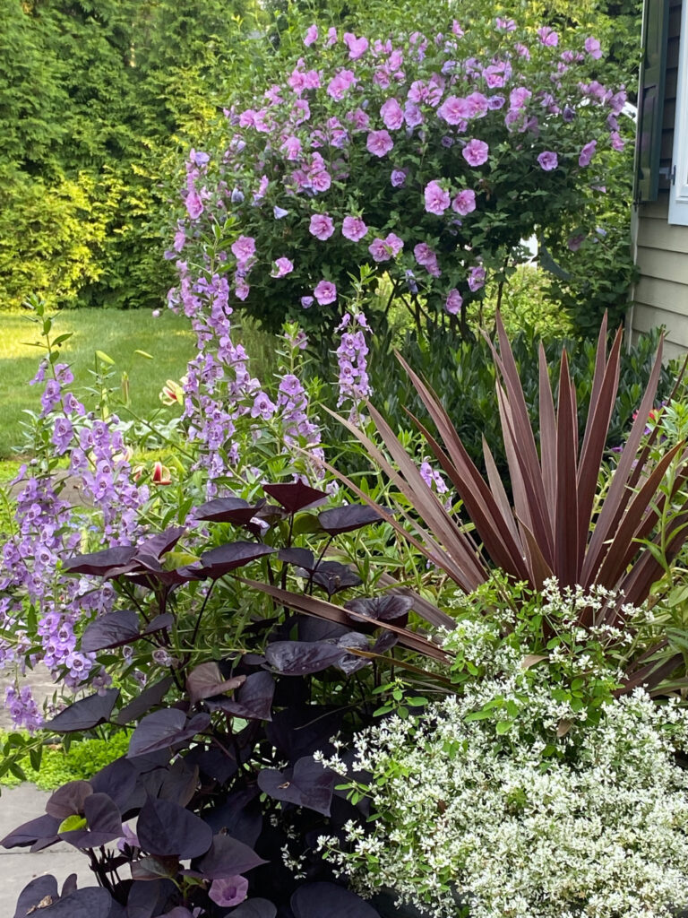 Beauty from Wendy’s Garden - Fine Gardening