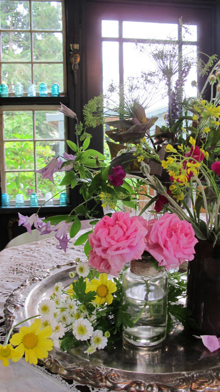 Jessica’s Tiny, Eccentric Garden - Fine Gardening