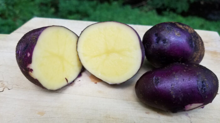 Episode 105: Underappreciated Veggies - Fine Gardening