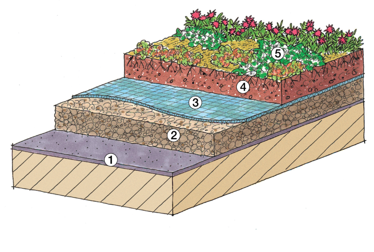 Building a Green Roof: What to Know Before You Grow - Fine Gardening