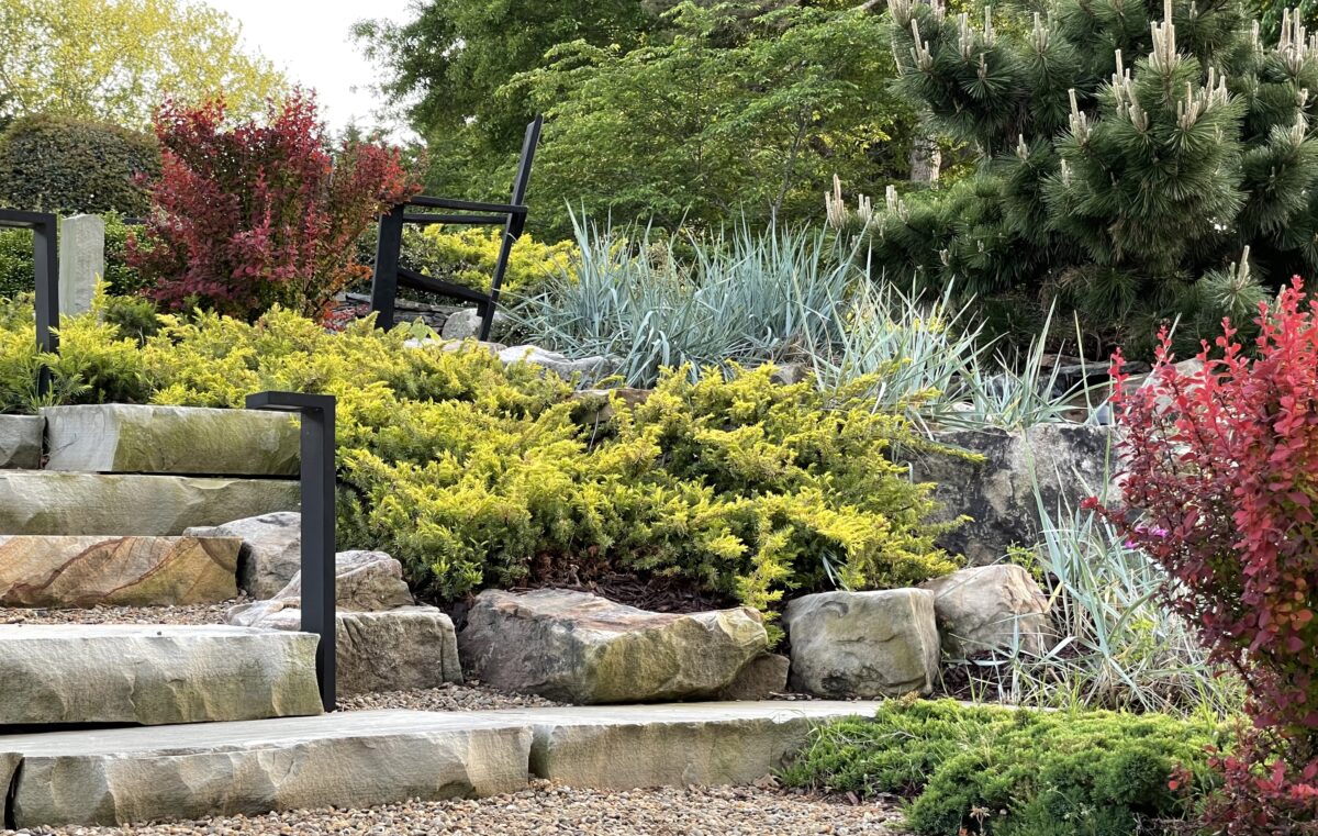 A Garden Jay Made in North Carolina - Fine Gardening