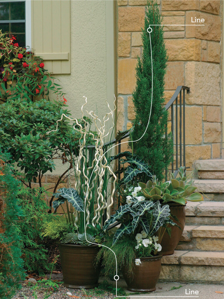 The Elements of Great Garden-Container Design Simplified - Fine Gardening