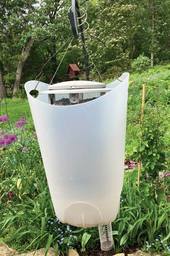 Tips About Pest Control, Window Boxes, Comfort, Protecting Sprouts, and ...