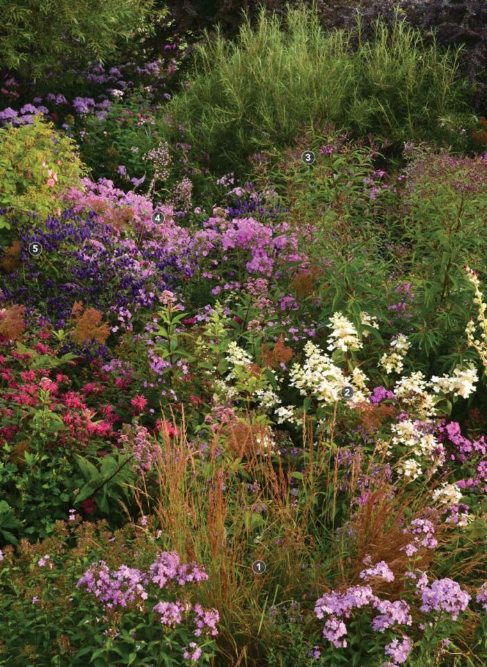 4 Planting Plans for Multiseason Garden Designs - Fine Gardening