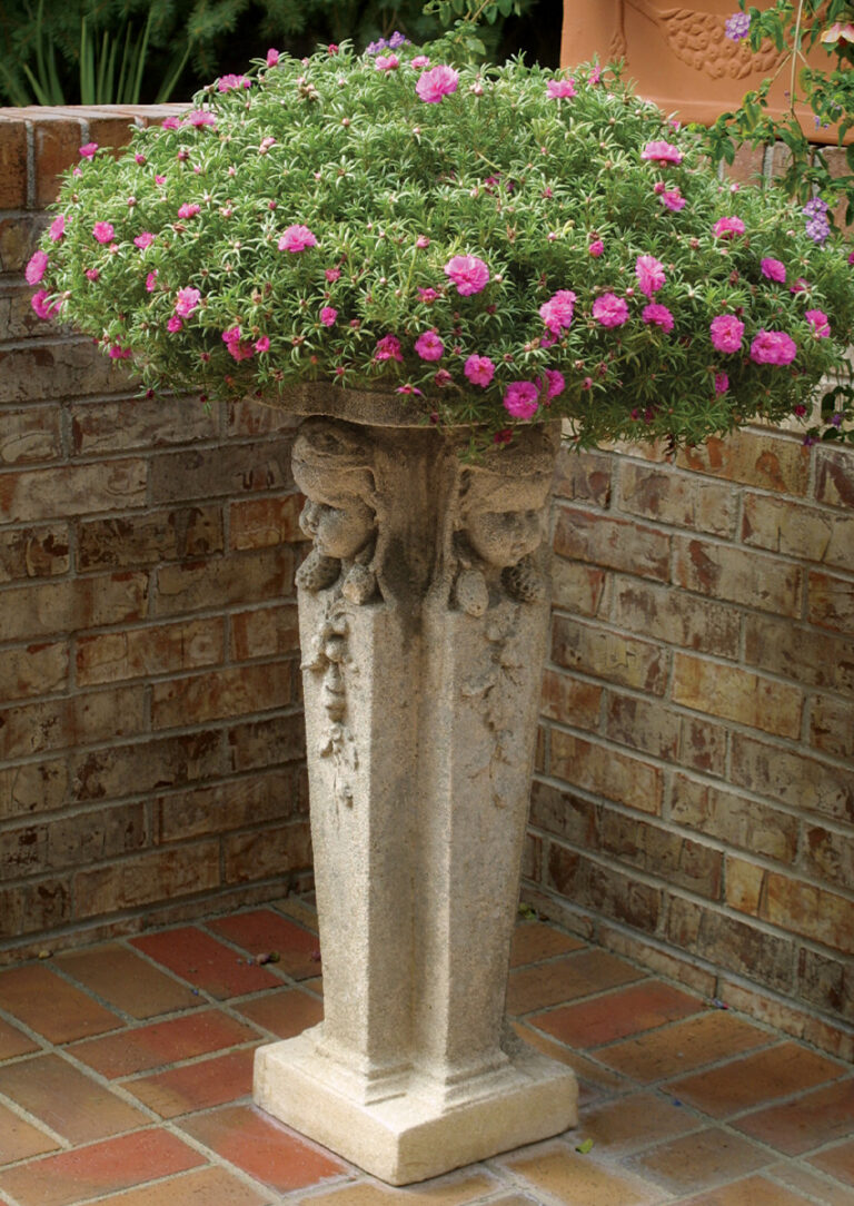 Container Plantings That Thrive on Neglect - Fine Gardening