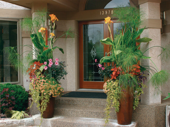 Designs for Entryway Containers - Fine Gardening