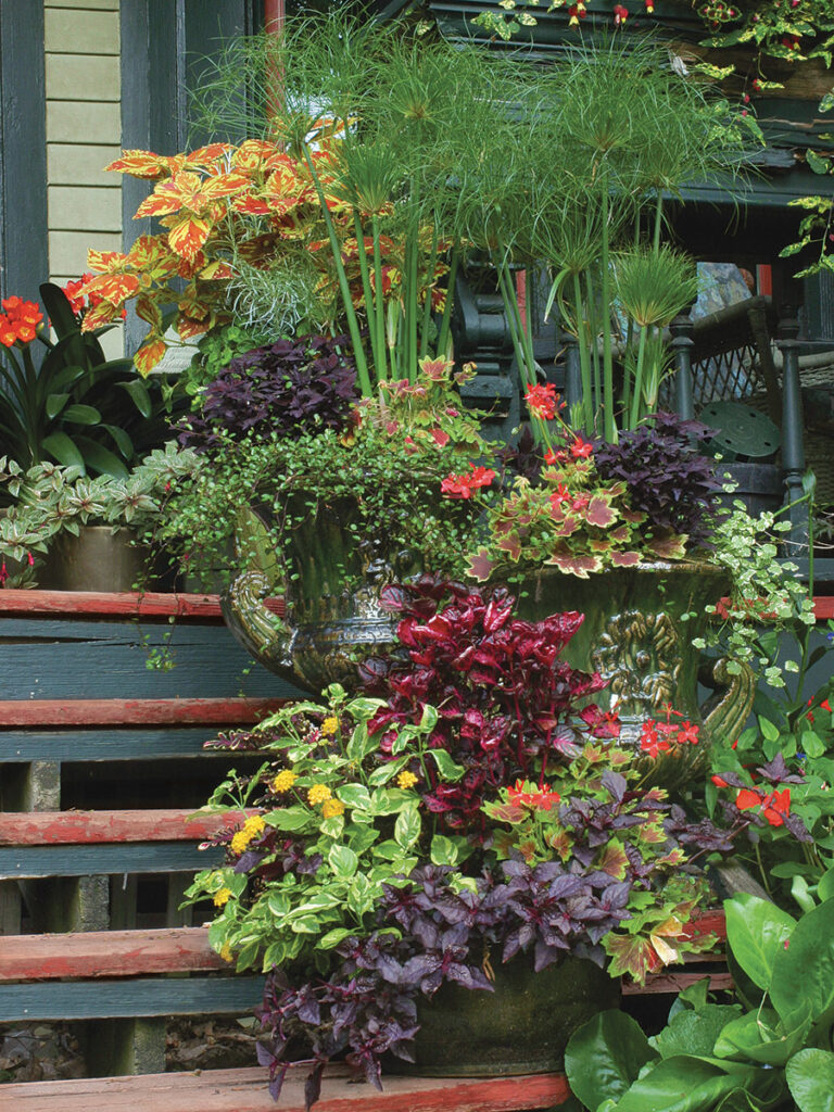 Designs for Entryway Containers - Fine Gardening