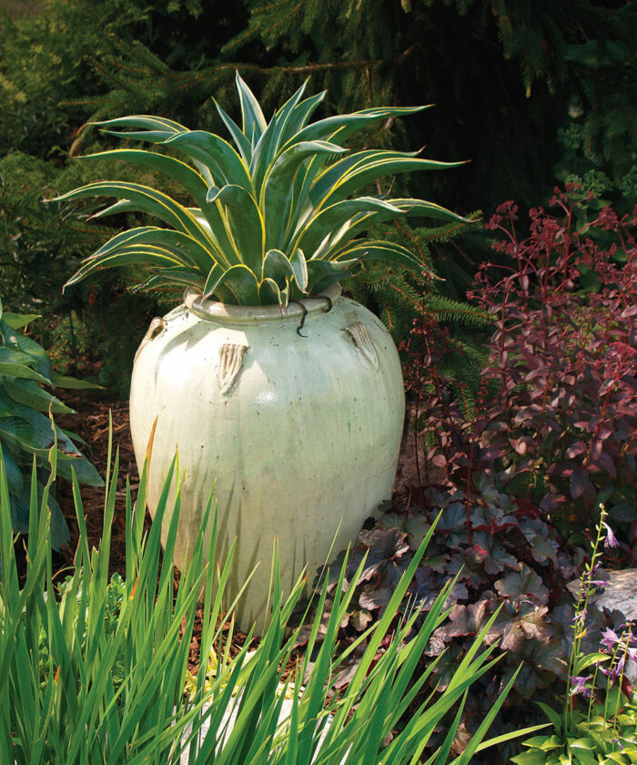 Focal Point Container Design - Fine Gardening