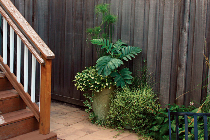 Containers for Borders, Paths, and Edges - Fine Gardening