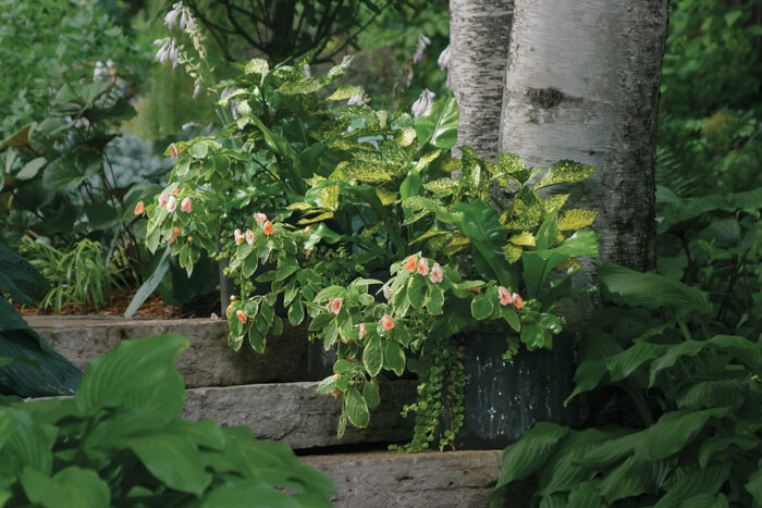 Containers for Borders, Paths, and Edges - Fine Gardening