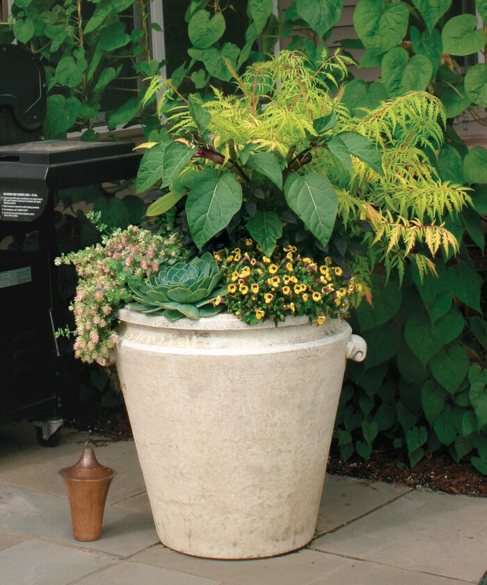 Containers for Borders, Paths, and Edges - Fine Gardening
