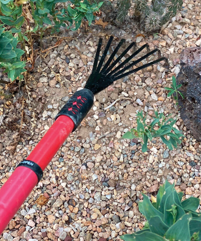 3 Reliable Garden Rakes for More Than Just Fall Cleanup - Fine Gardening