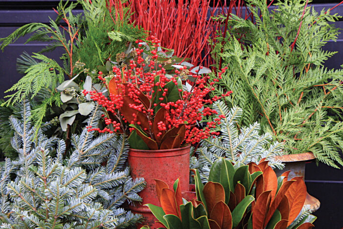 Create a Sturdy Winter Container Arrangement - Fine Gardening