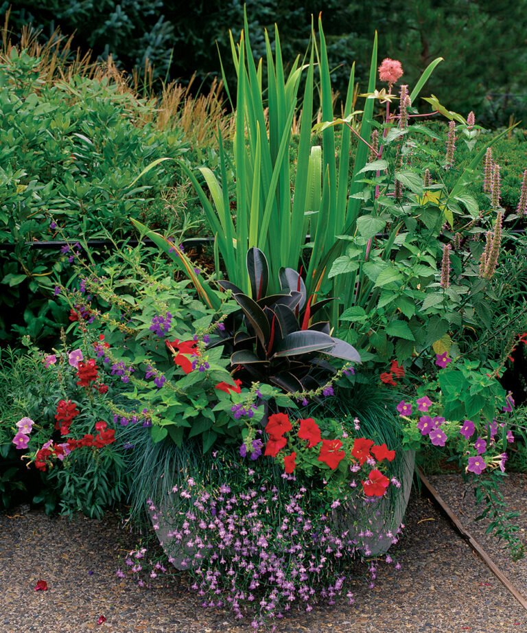 Planting a Pot with Lots of Plants - Fine Gardening