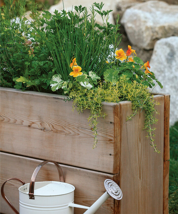 Stand-Out Designs for Stand-Alone Containers: Part 1 - Fine Gardening