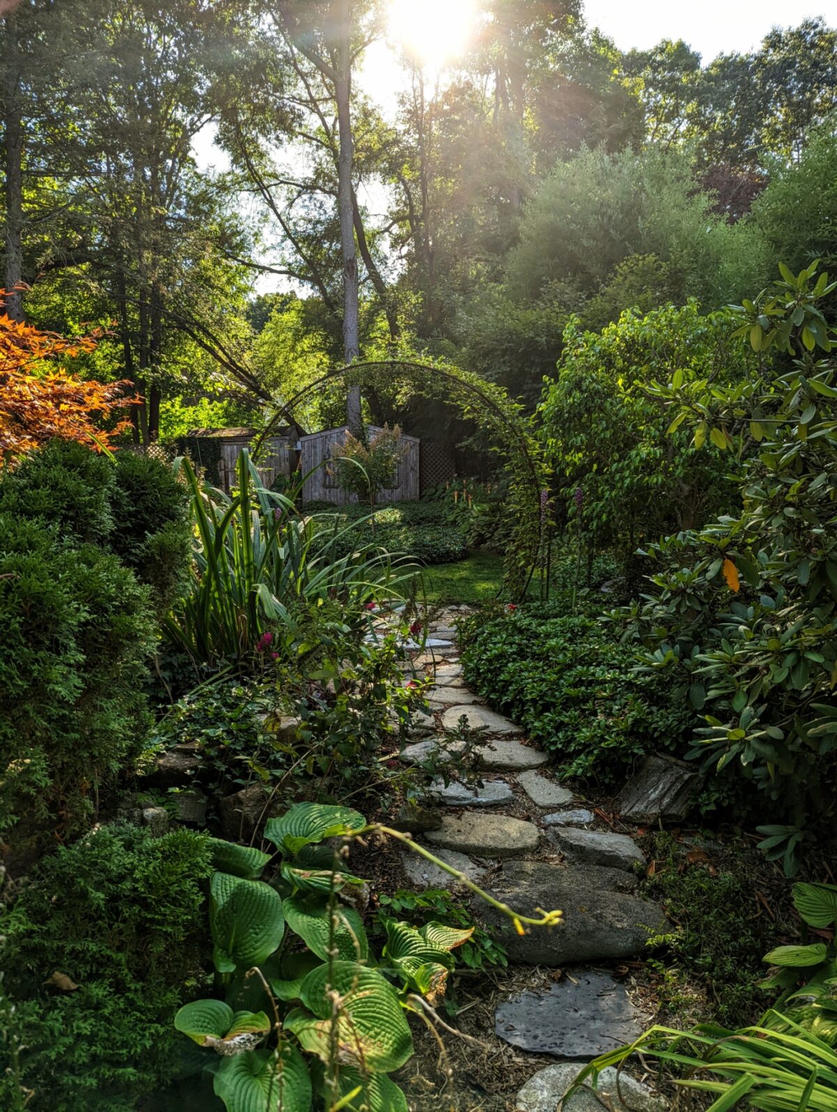 An Artist’s Garden - Fine Gardening