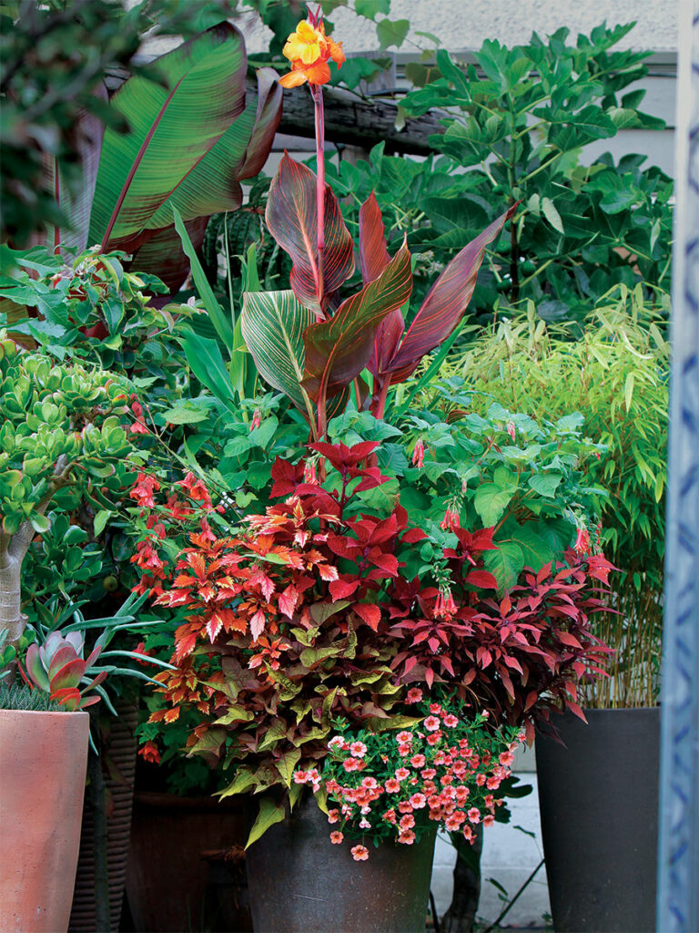 Stand-Out Designs for Stand-Alone Containers: Part 2 - Fine Gardening
