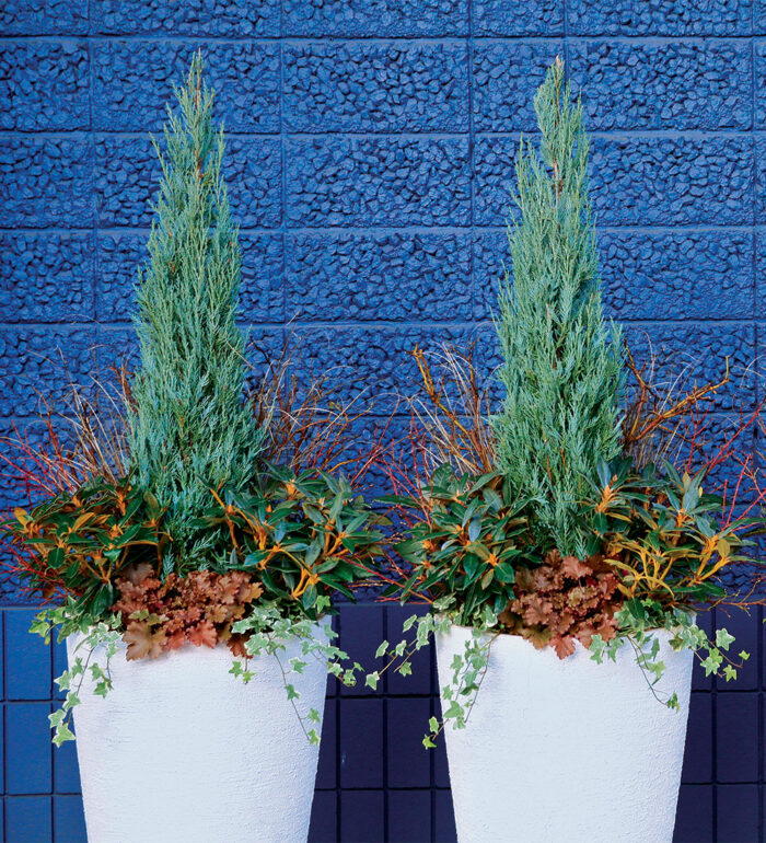 Change a Space with Seasonal Containers - Fine Gardening
