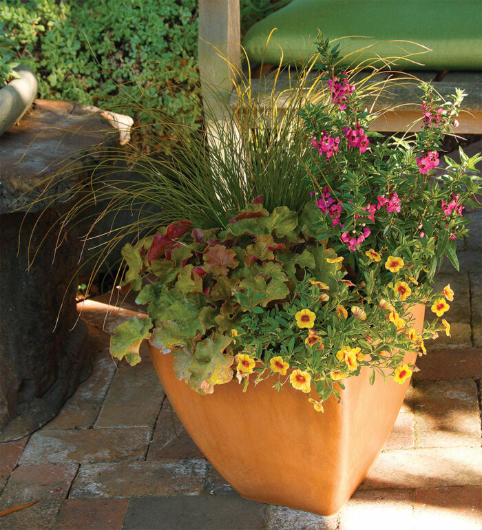 Spectacular Summer Container Designs: Part 1 - Fine Gardening