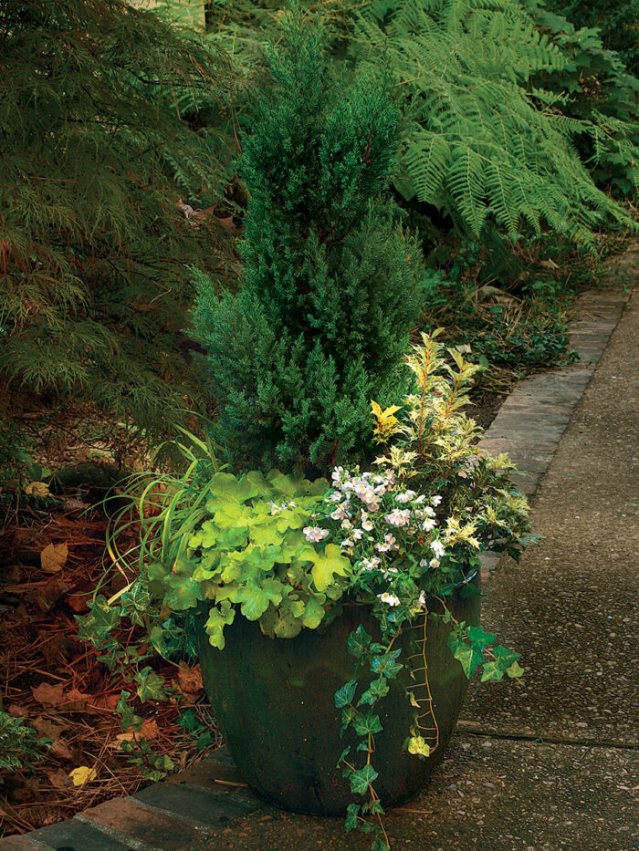 Cold-Weather Combinations for Fall Containers - Fine Gardening