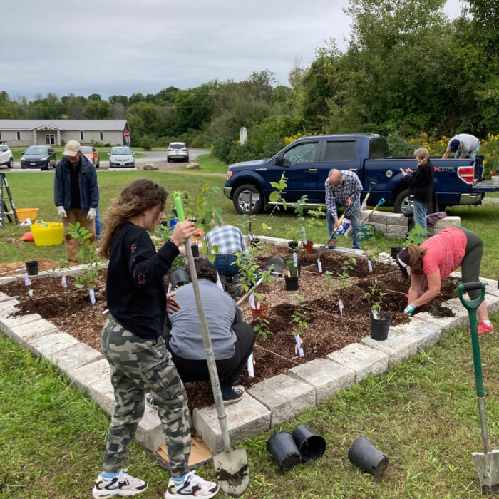 A Community Miniature Forest - Fine Gardening