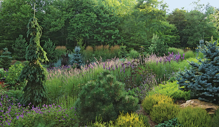 How to Design a Stylized Meadow Garden - Fine Gardening
