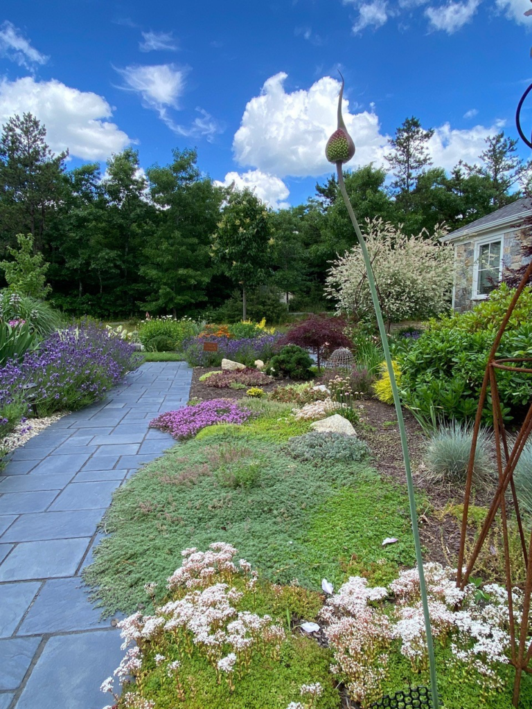 A New Garden in Massachusetts - Fine Gardening