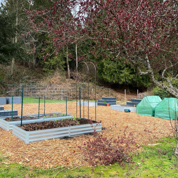 Tracy’s Flower Farm - Fine Gardening