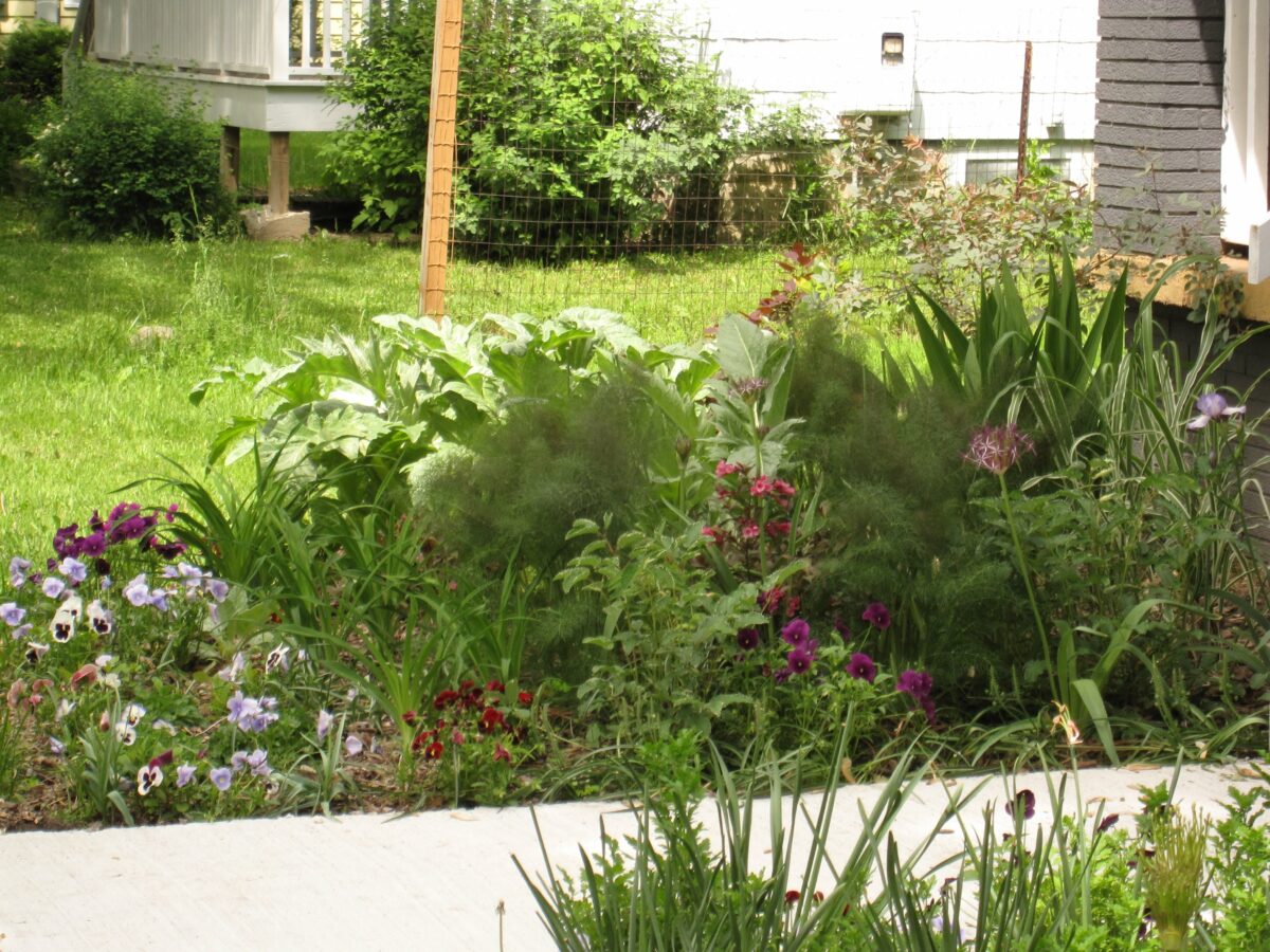 Looking Back at an Old Garden - Fine Gardening