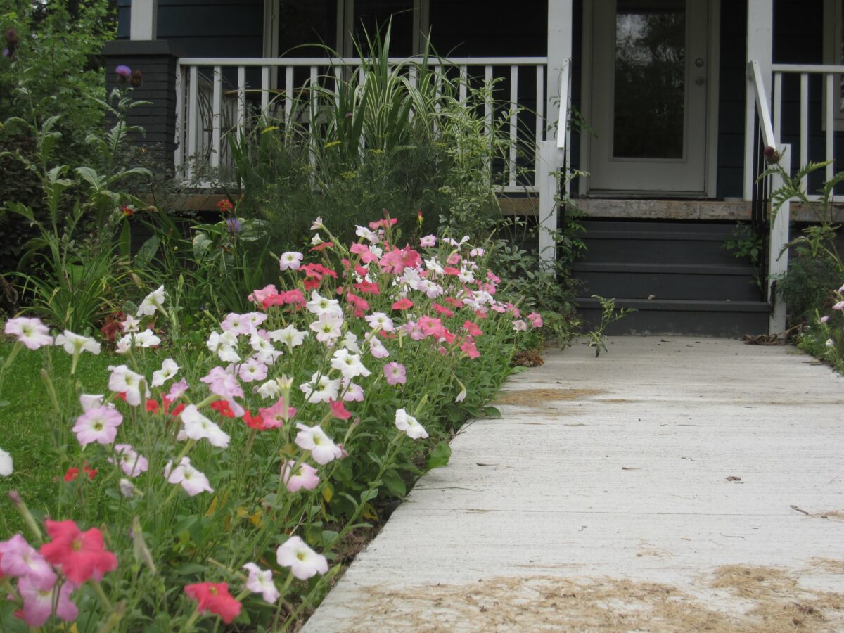 Looking Back at an Old Garden - Fine Gardening