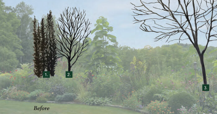 How to Make Changes to an Overgrown Garden - Fine Gardening