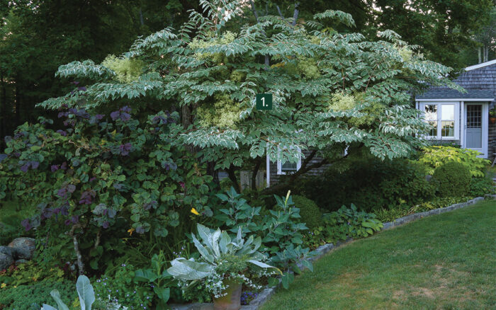 How to Make Changes to an Overgrown Garden - Fine Gardening